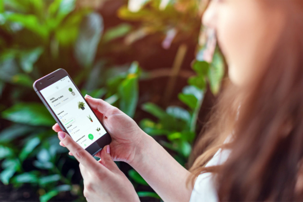 How To Create Responsive Layouts In Flutter For Mobile Apps Miquido Blog