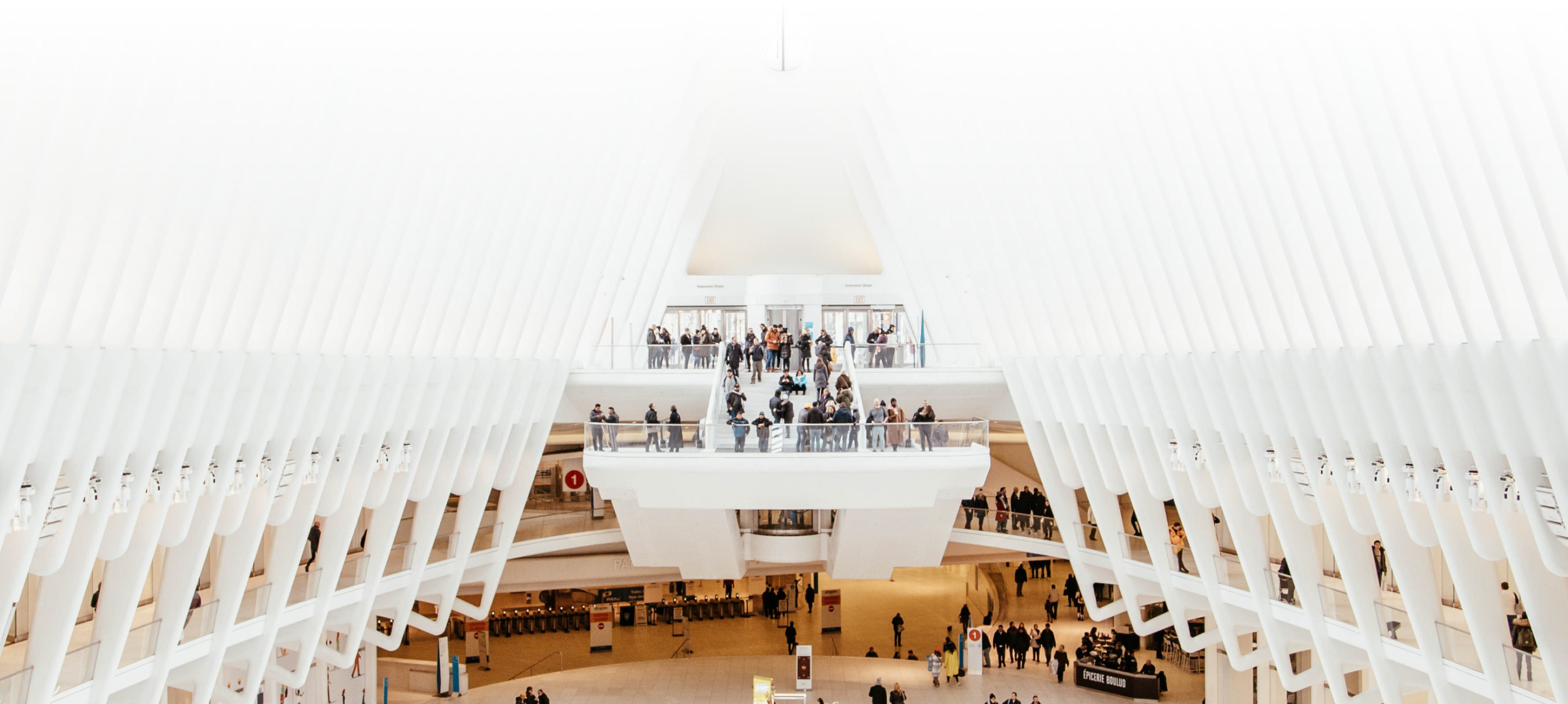 Customer Engagement Solution for PAJO | Miquido